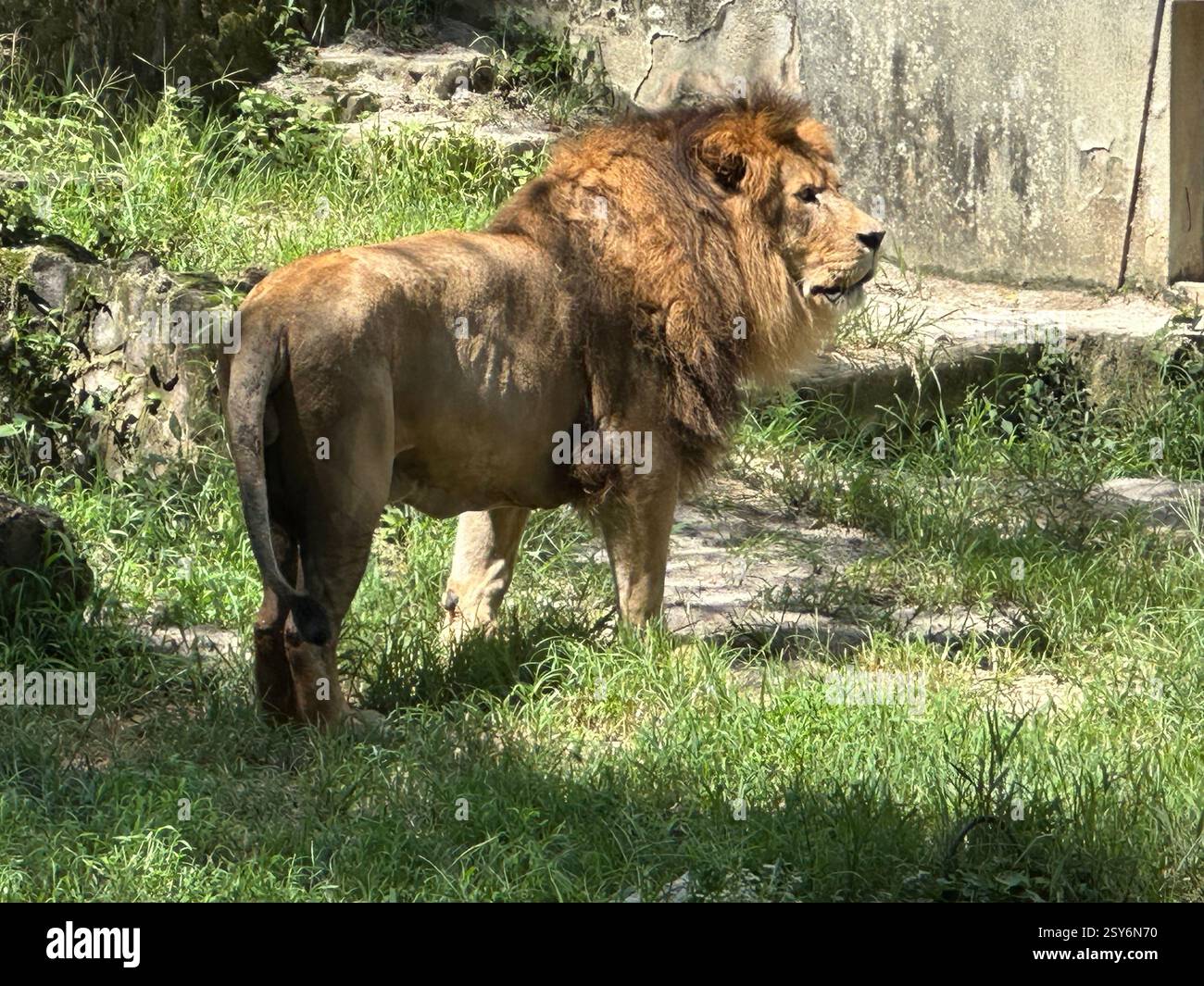 Kobe Ōji Zoo in Japan Stock Photo - Alamy