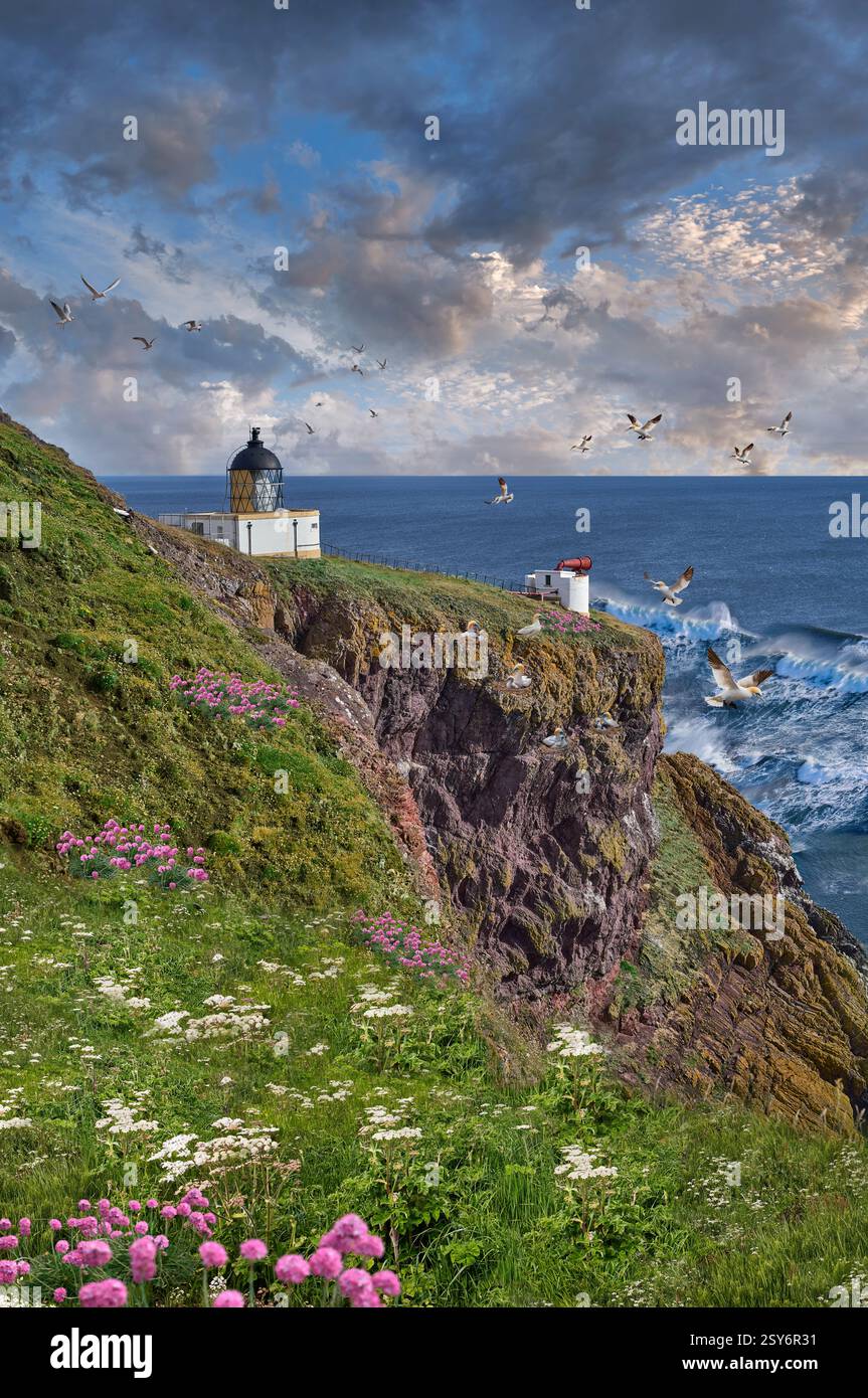 Photo of St Abb's Head Lighthouse lighthouse, St Abbs Head, Berekshire, Scotland, UK. A signal ...