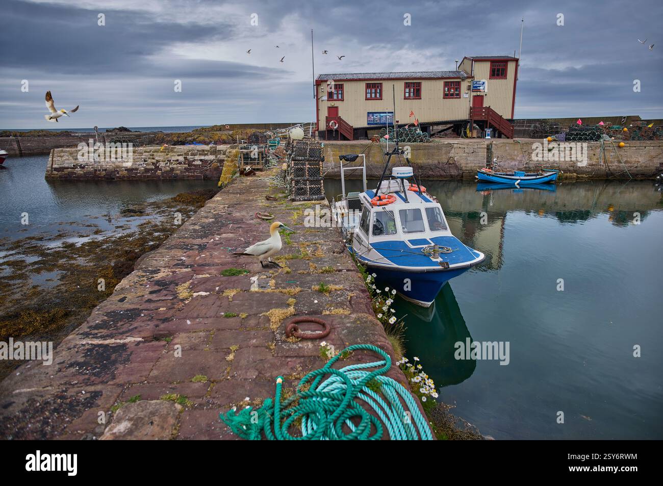 Colour photo of the harbour and lifeboat station of the small fishing ...
