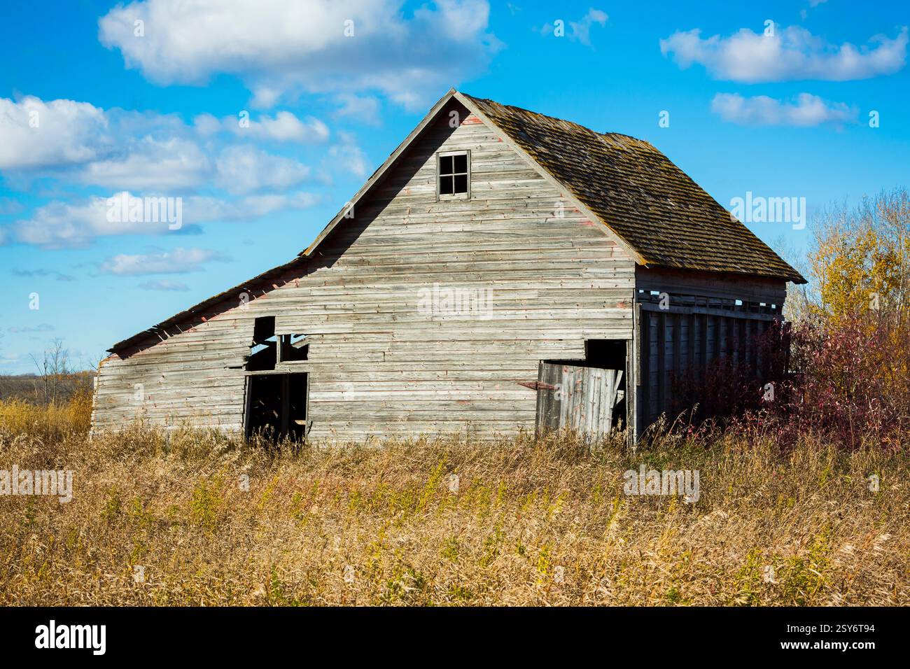 Wooden shed with wooden shingles hi-res stock photography and images ...