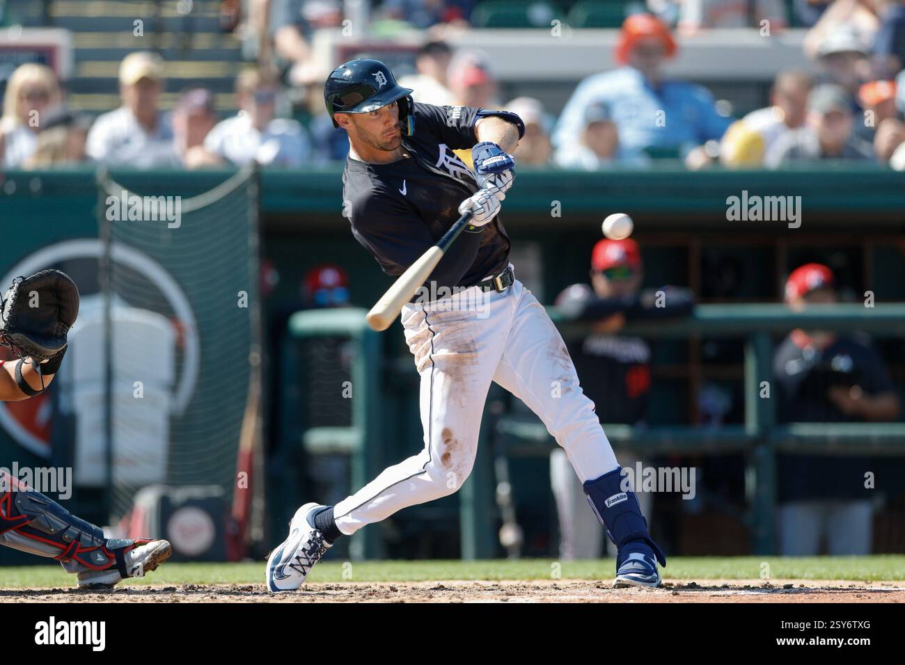 Lakeland FL USA; Detroit Tigers shortstop Ryan Kreidler (32) flies out ...