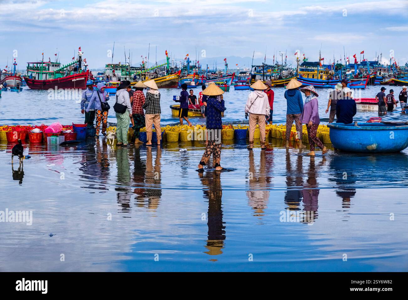 People work with freshly caught fish on the beach of Mui Ne, MÅ i NÃ , many fishing boats in the ...