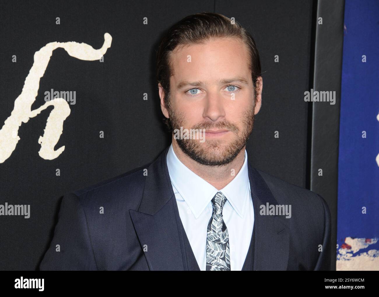 Actor Armie Hammer arriving at the premiere of Fox Searchlight Pictures ...