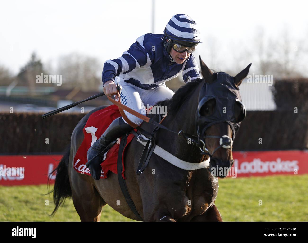 Katate dori hi-res stock photography and images - Alamy