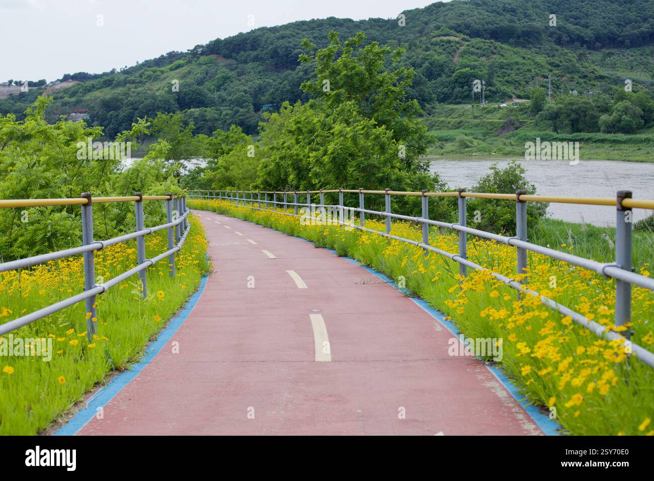 Sejong City, South Korea - May 27, 2021: A winding section of the Geumgang Bike Path lined with ...