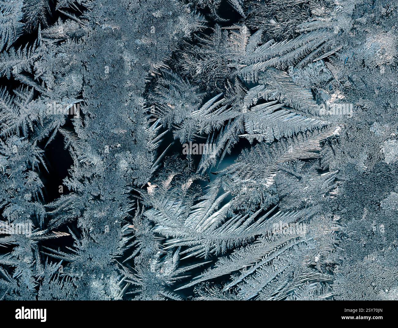 Dendritic crystals hi-res stock photography and images - Alamy