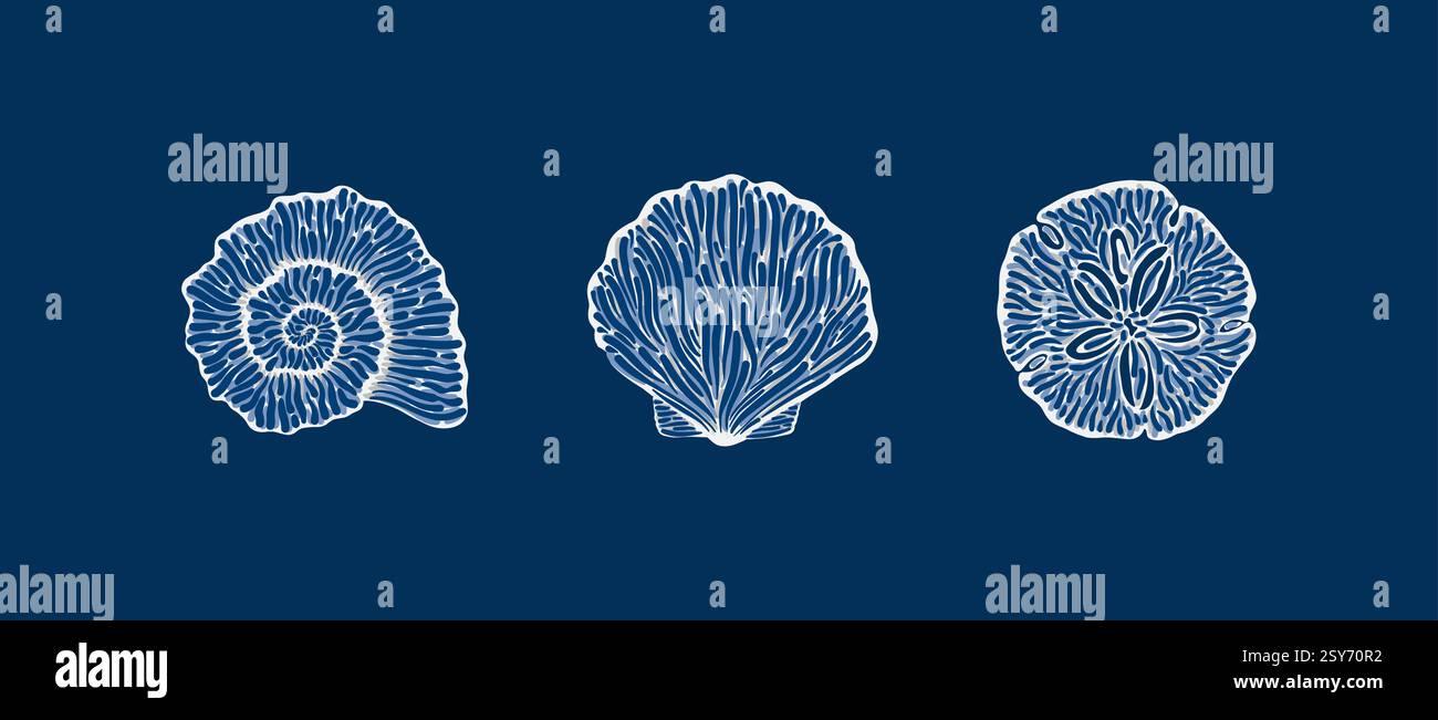 Illustrations of various shell designs depicted with intricate white ...