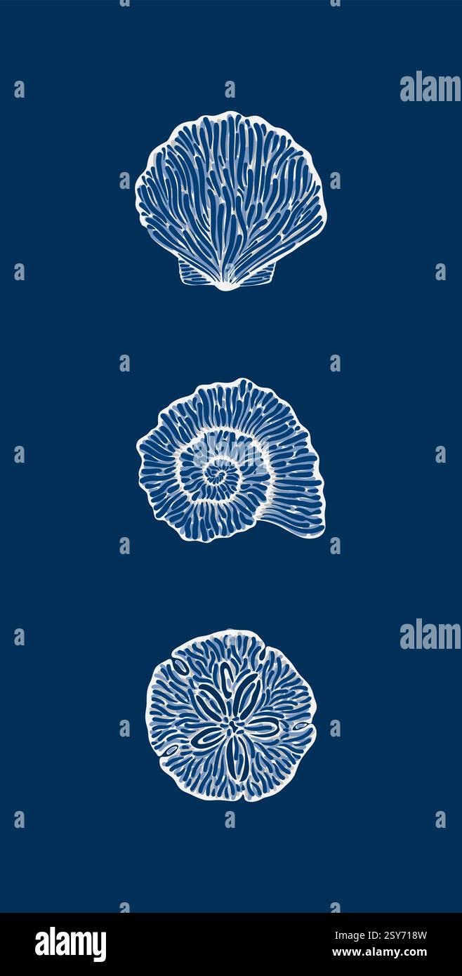 Illustrations of various shell designs depicted with intricate white ...