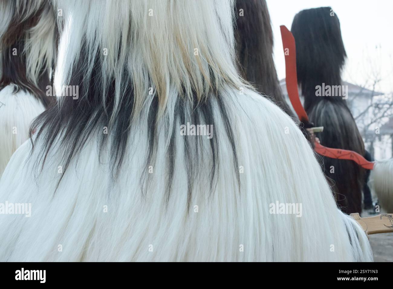 Kukeri texture hi-res stock photography and images - Alamy