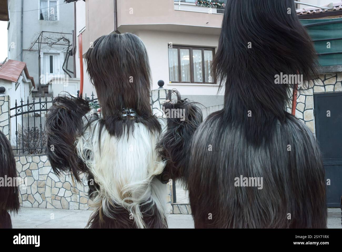 Kukeri participants in traditional handcrafted costumes featuring ...