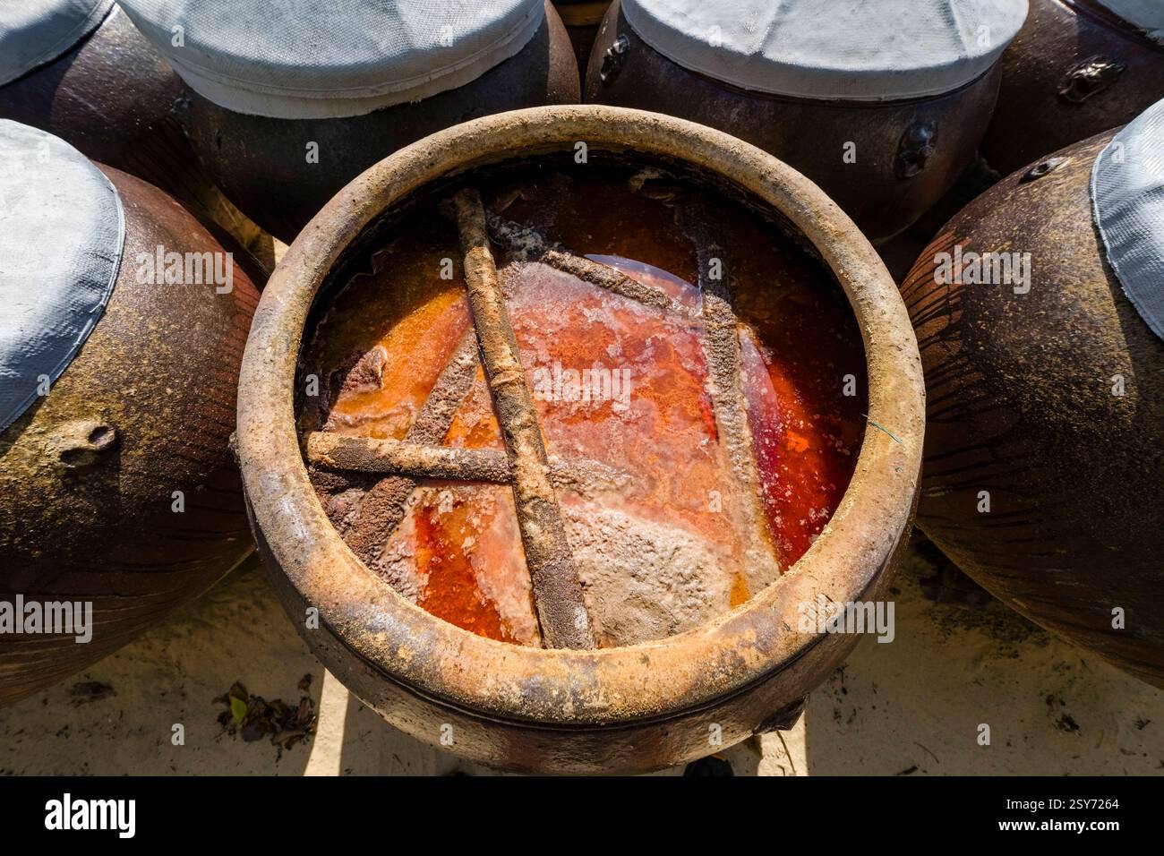 Fish sauce is produced in earthenware pots at the entrance of the ...