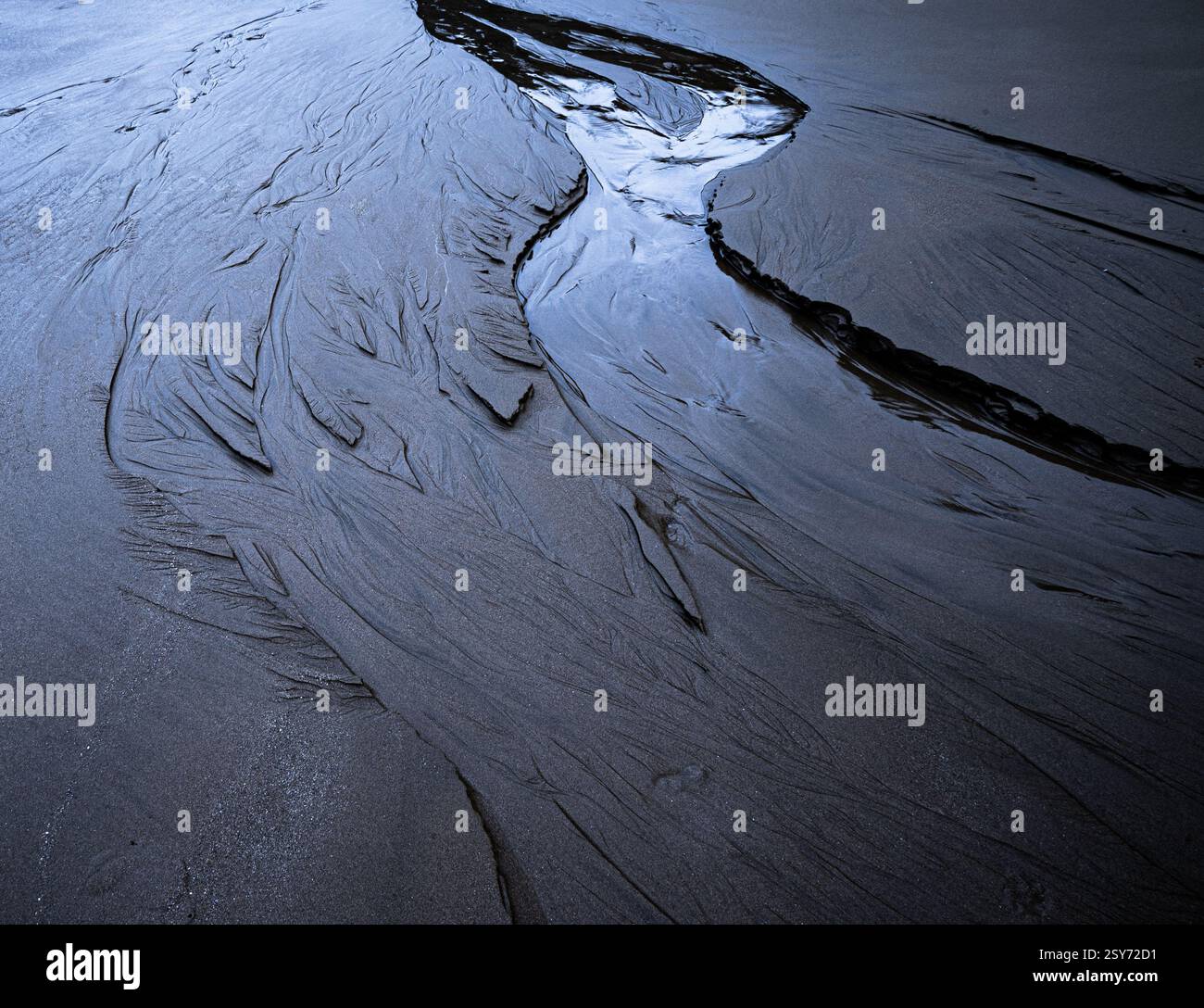 A small river carving its way across a beach at low tide leaving ...