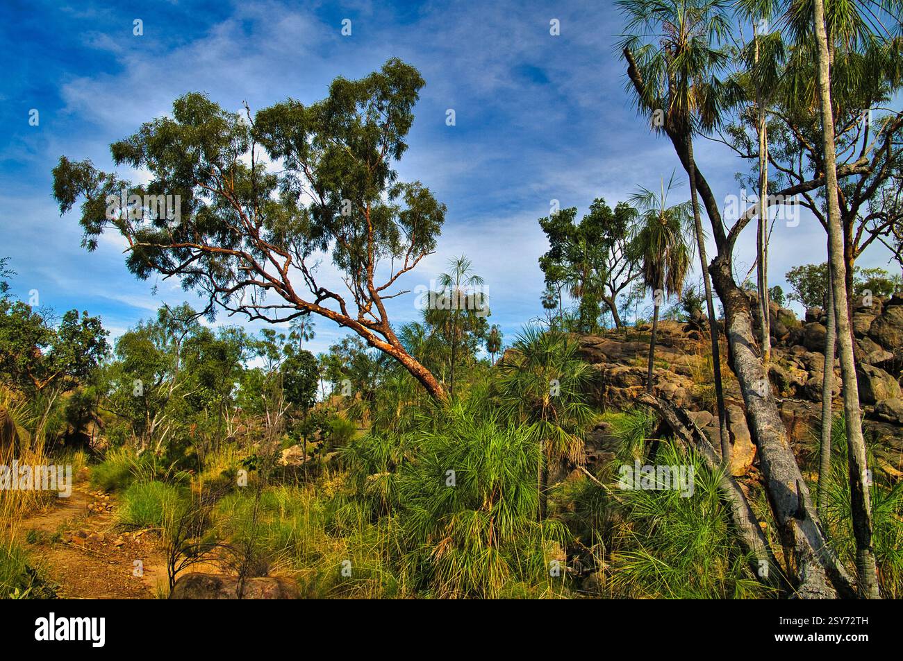 Rocky outback landscape with tropical savannah vegetation in Katherine ...