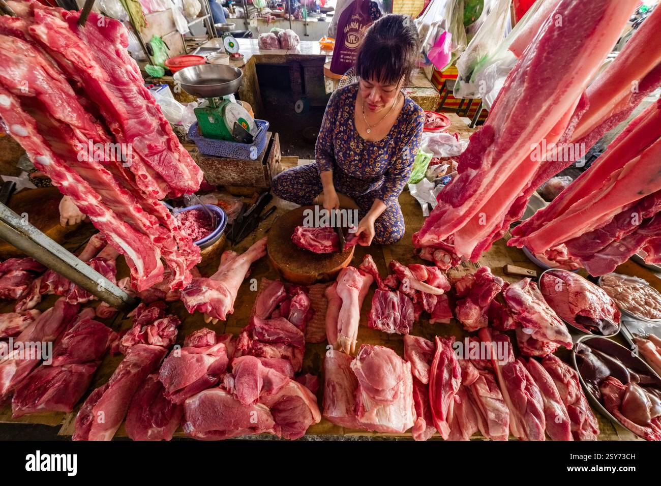 A woman sells raw meat in the market in the centre of Ba Ria, Chợ Bà ...