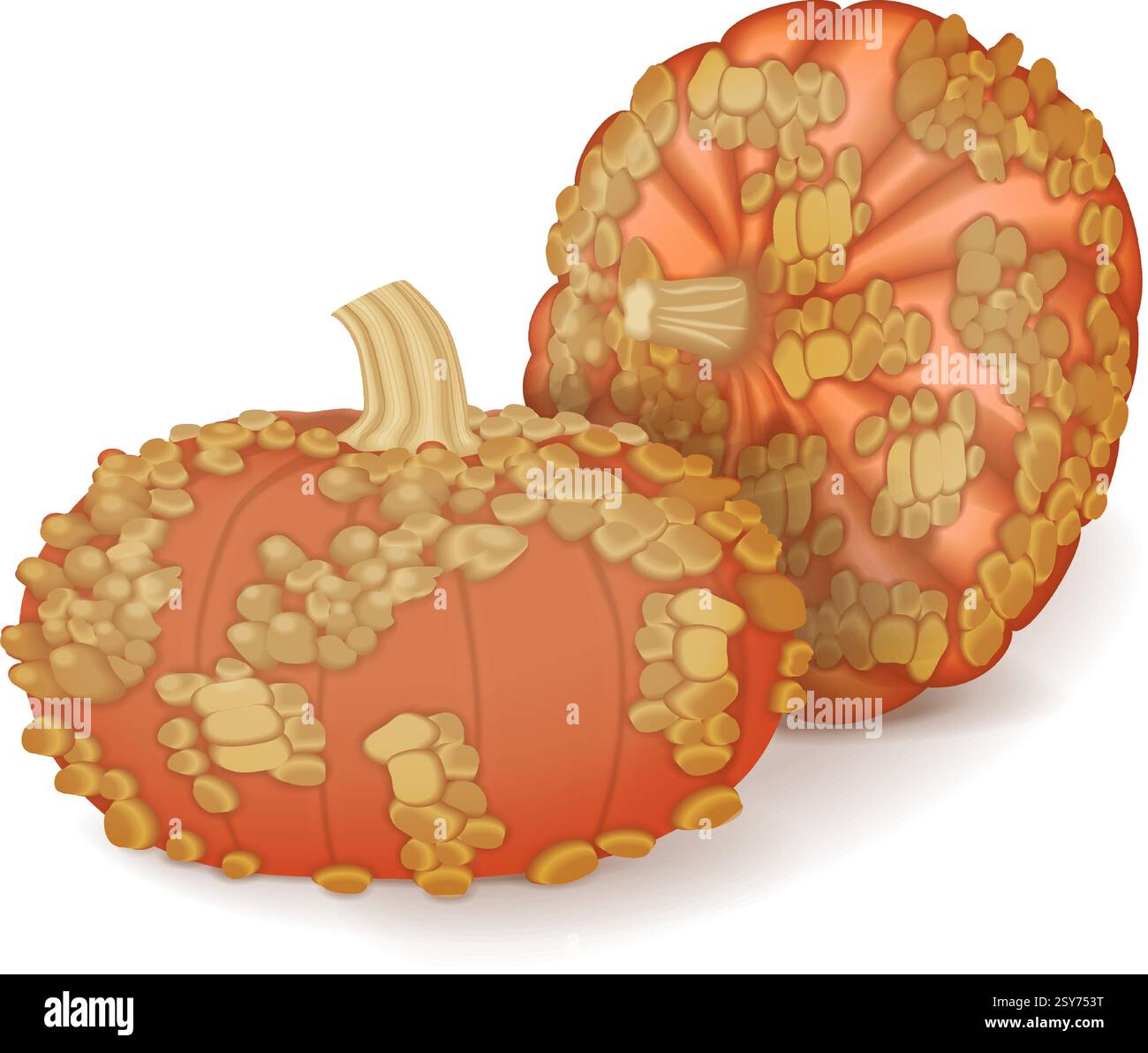 Group of Galeux de Eysines Squash or French Warted Pumpkin. Winter ...