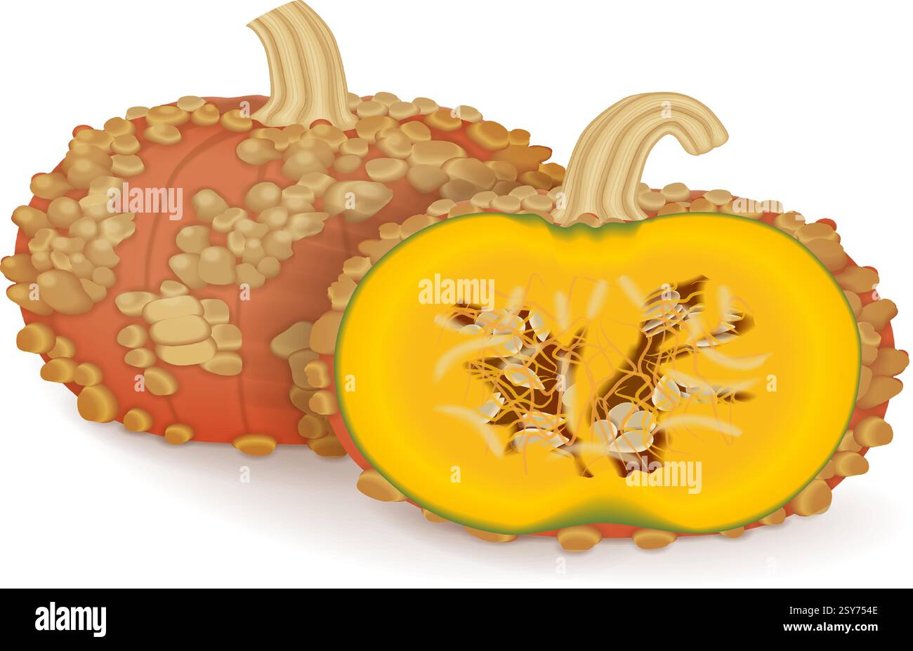 Whole and half of Galeux de Eysines Squash or French Warted Pumpkin ...
