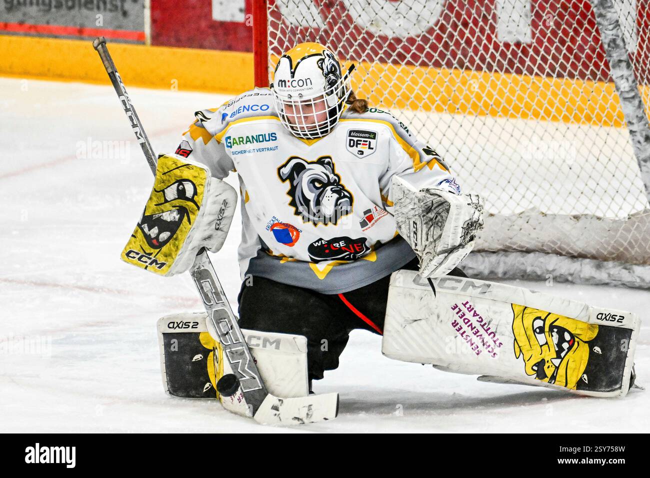 23.02.2025, Alpha Cooling-Arena am Huehnerberg, Memmingen, GER, DFEL ...
