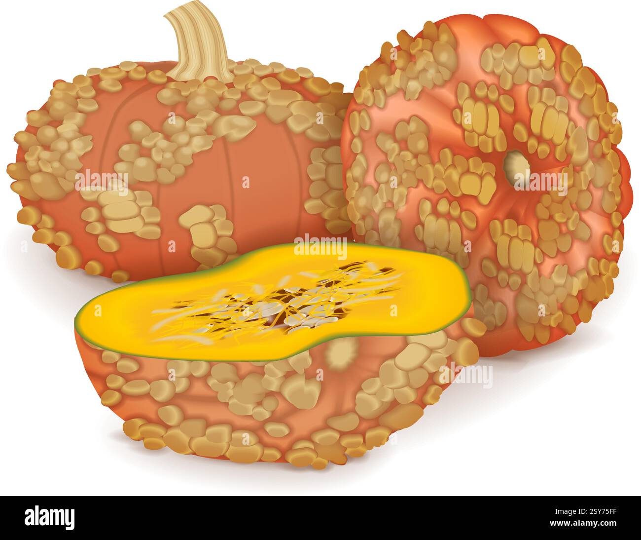 Whole and chopped Galeux de Eysines Squash or French Warted Pumpkin ...