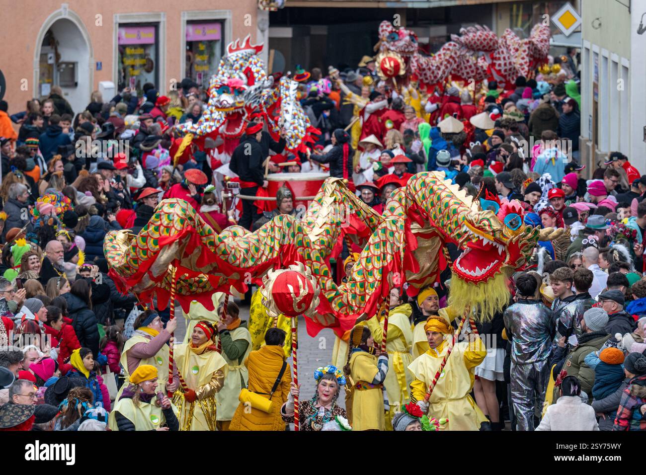 Dietfurt, Germany. 27th Feb, 2025. A Chinese dragon can be seen in the ...