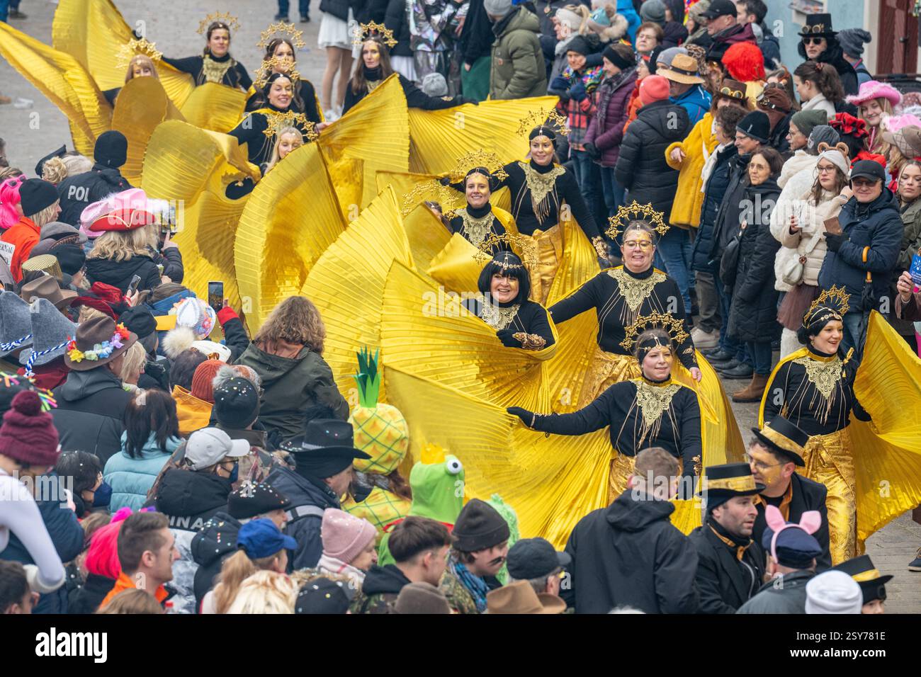 27 February 2025, Bavaria, Dietfurt: A group in Chinese costumes takes ...
