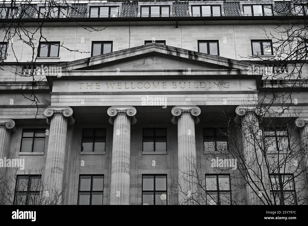 The Wellcome Foundation Stock Photo - Alamy