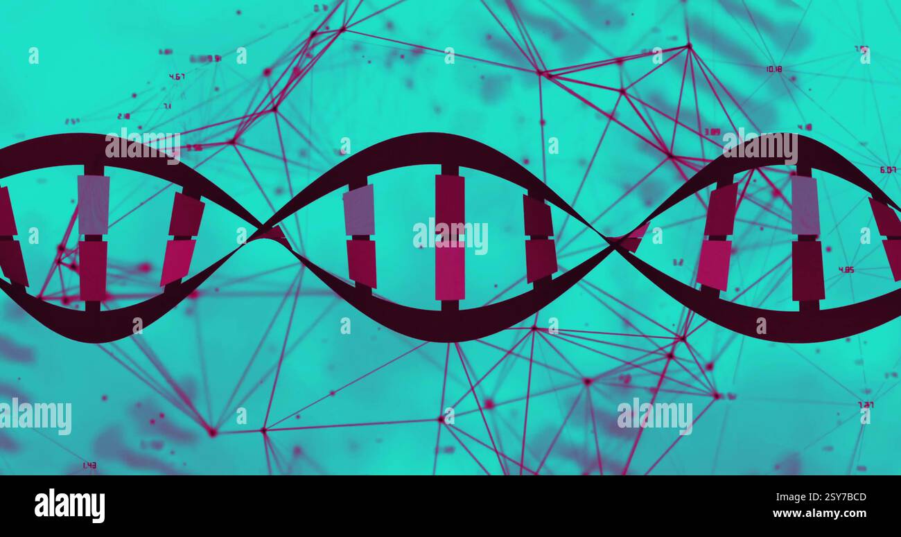DNA double helix image over network of connections and data points ...