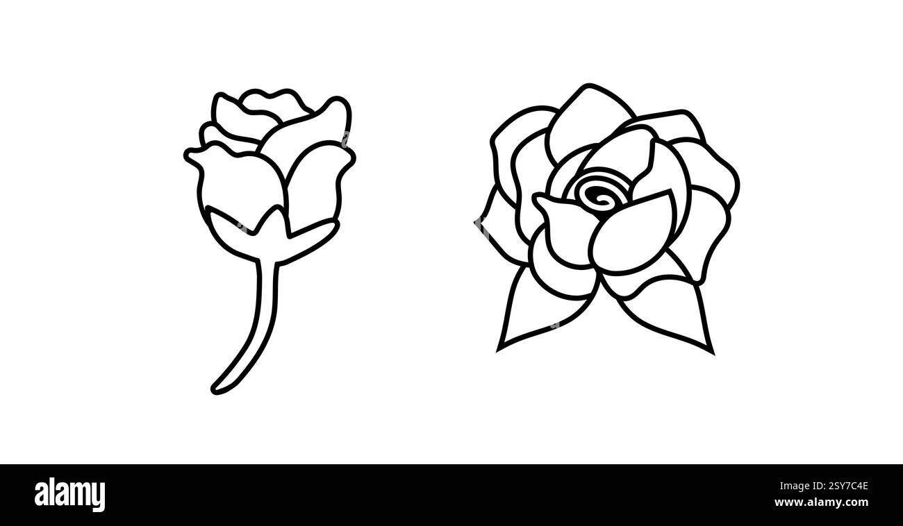 Simple line drawing of two roses with delicate petals and leaves in ...