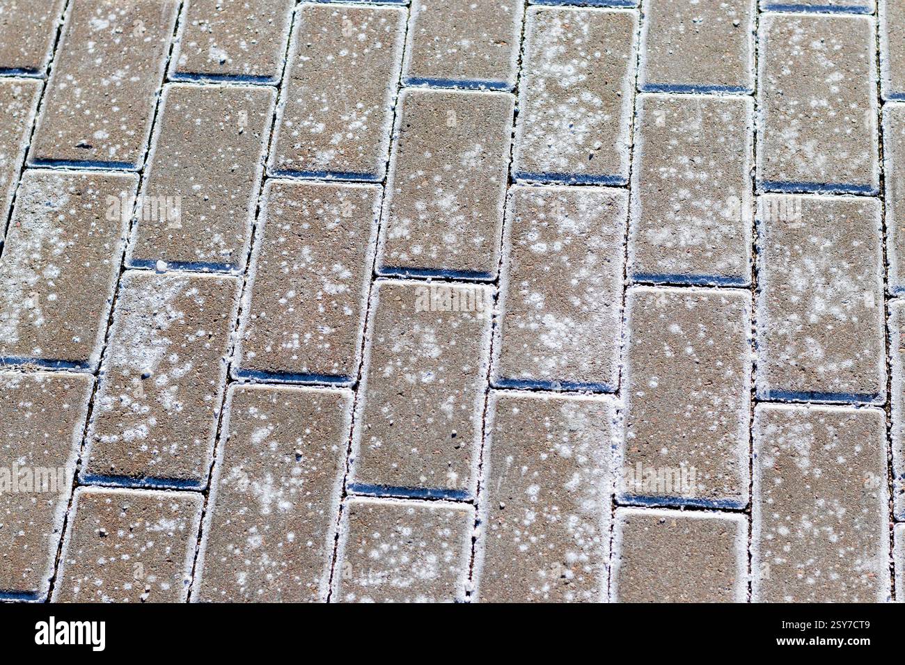 Interlock bricks with frost on them Stock Photo - Alamy