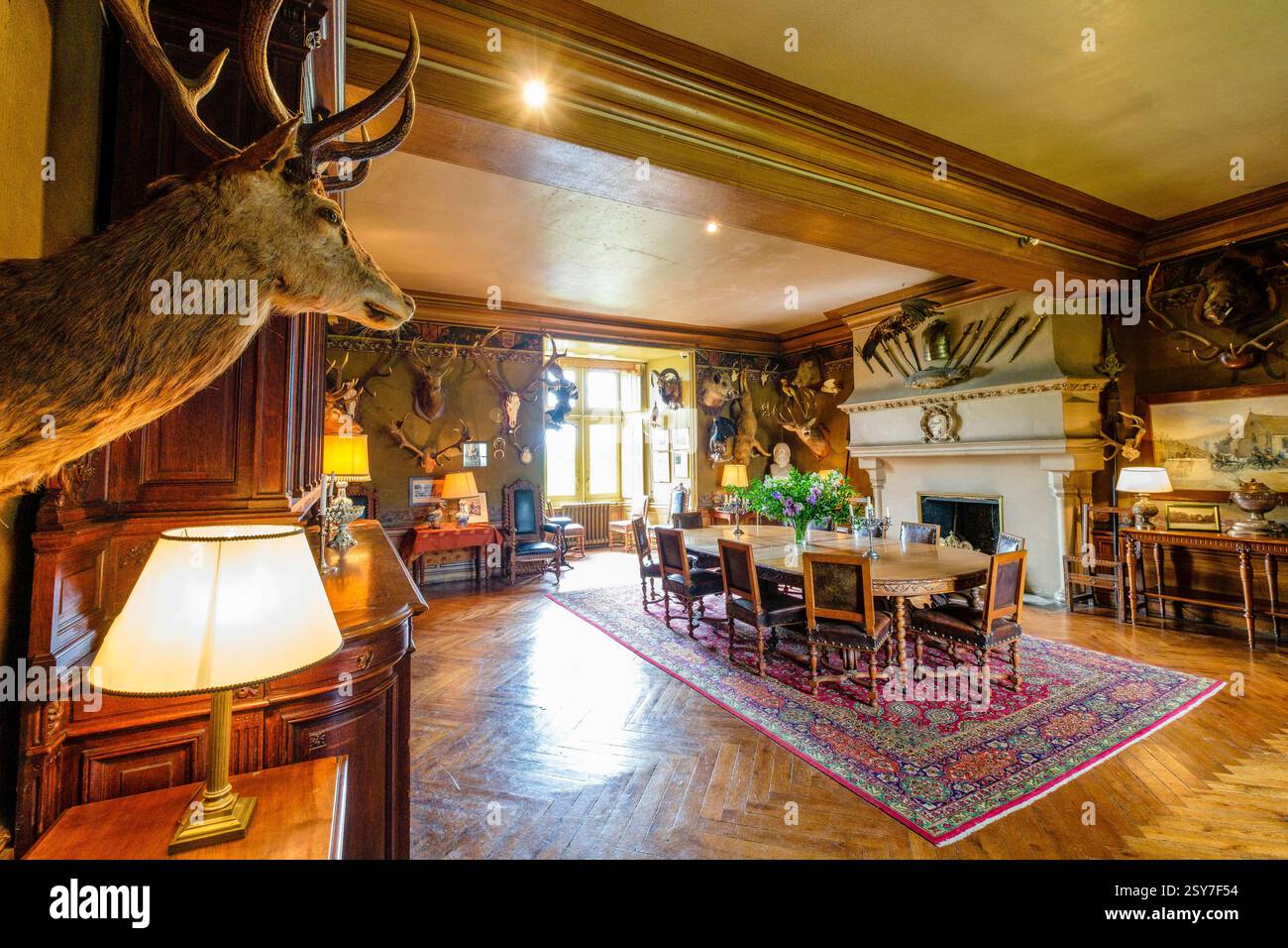 Trophy room, castle of Count Branicki, Montrésor, department of Indre ...