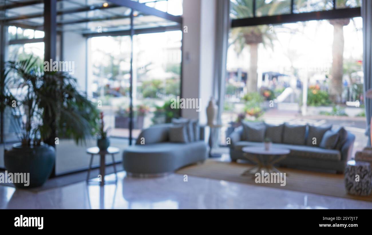 Modern hotel lobby out of focus with elegant seating areas, large plant ...