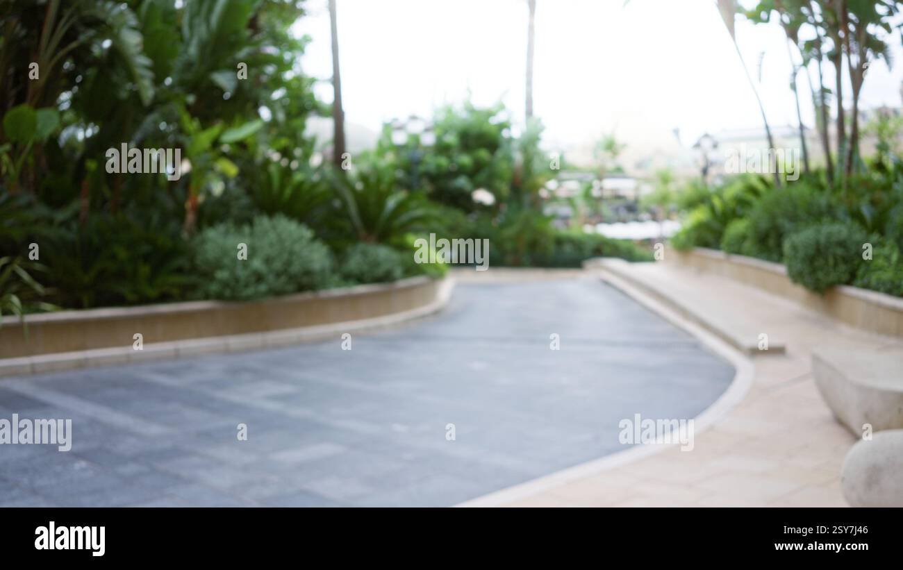 Monaco street scene with lush greenery under natural light, showcasing ...