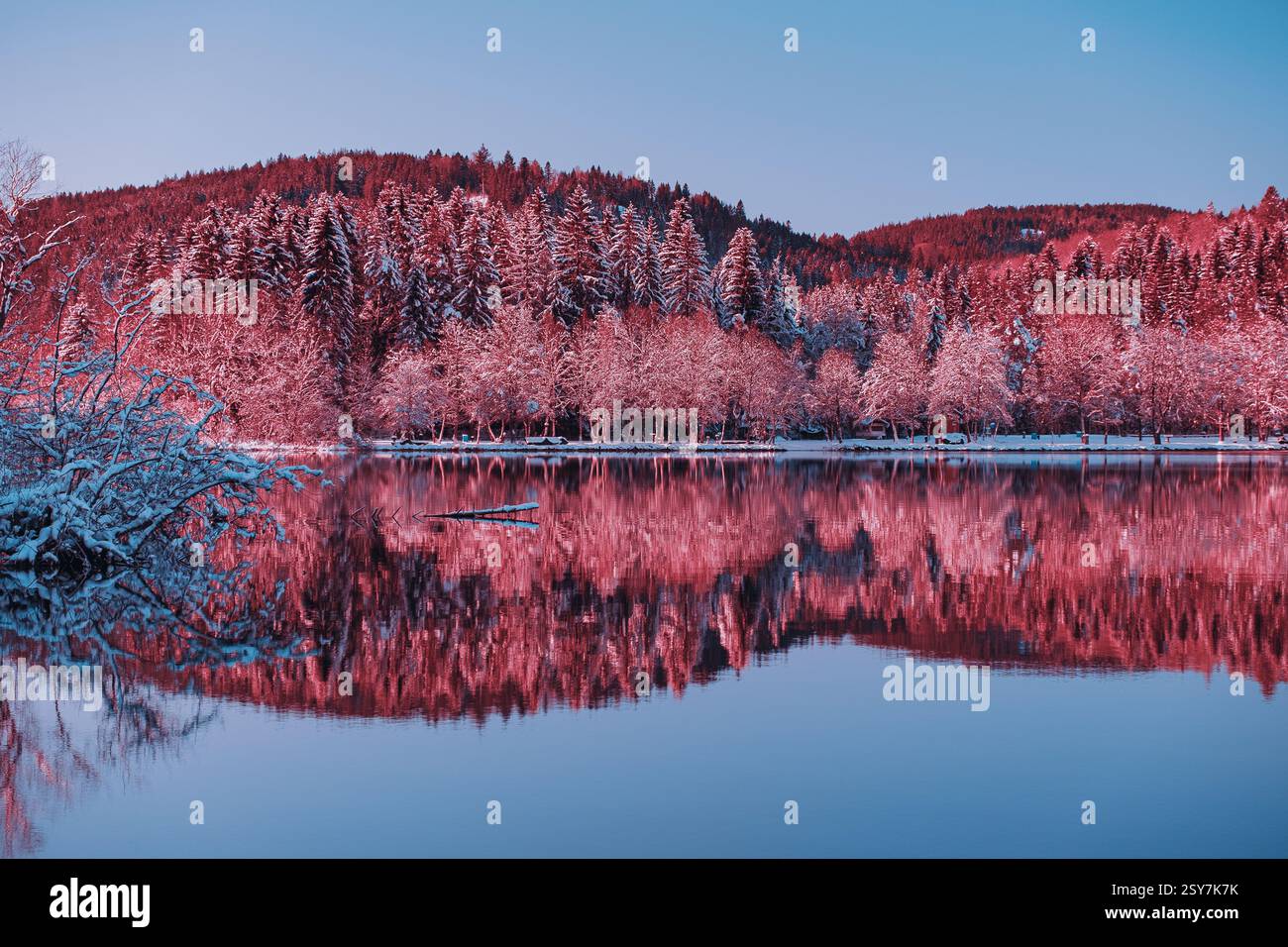 Infrared Winter Magic: Crystal-Clear Reflection at Titisee Lake Stock ...