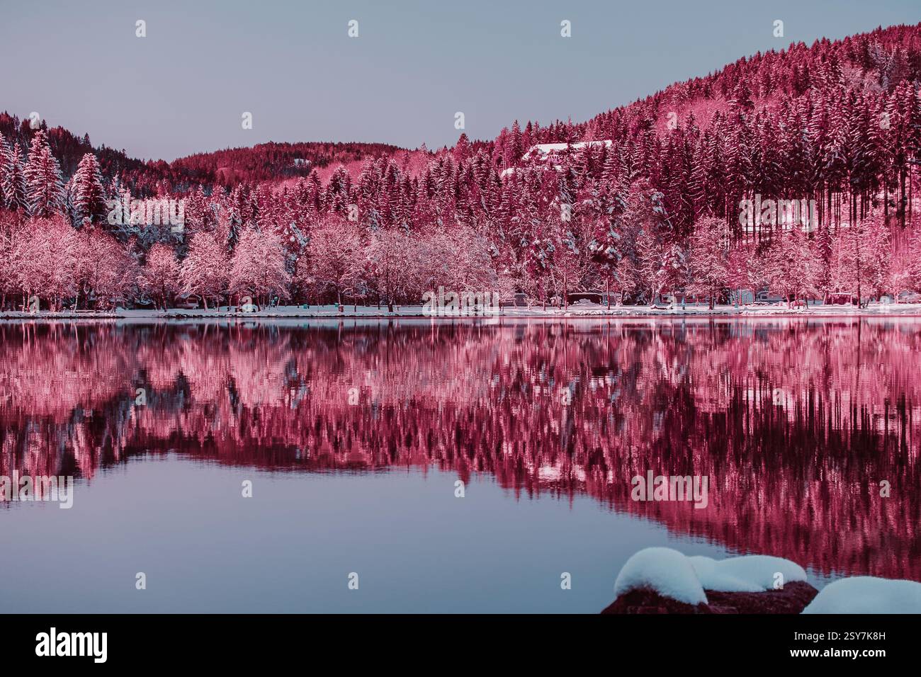 Infrared Winter Magic: Crystal-Clear Reflection at Titisee Lake Stock ...