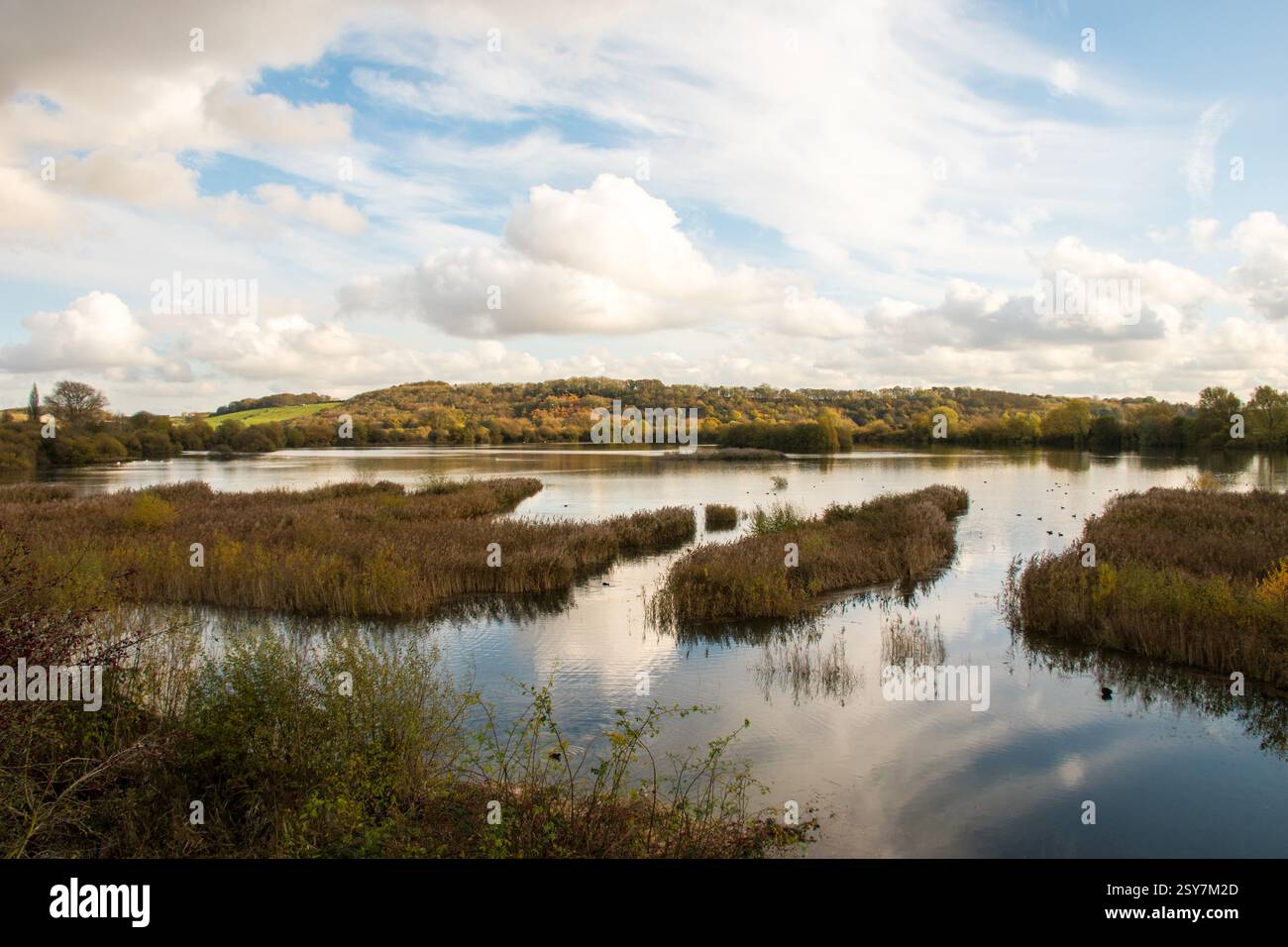 Landscape over a marsh with reflection on water at the Attenborough ...