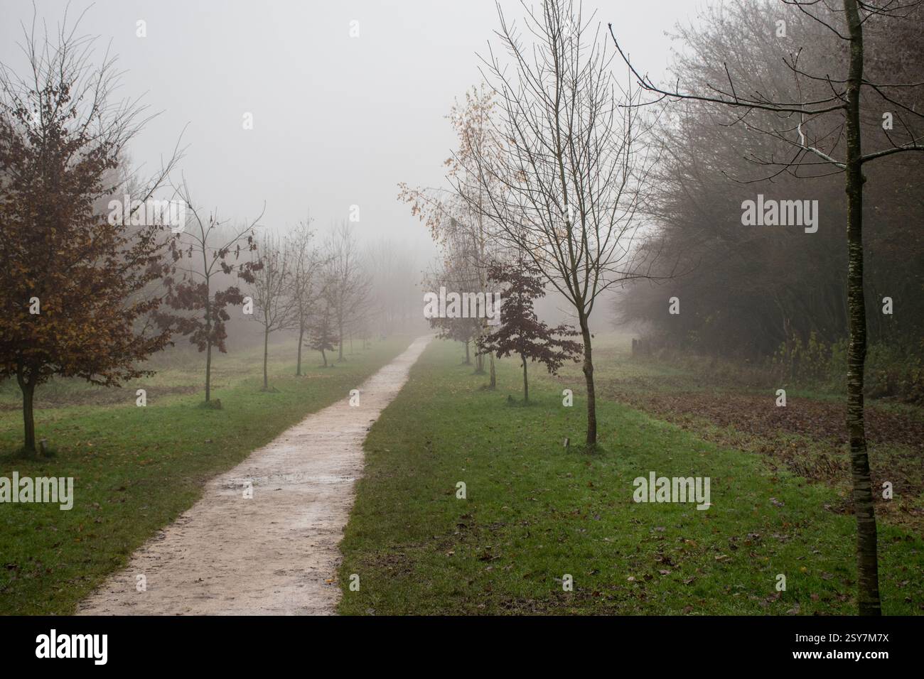 Heavy fog hi-res stock photography and images - Alamy