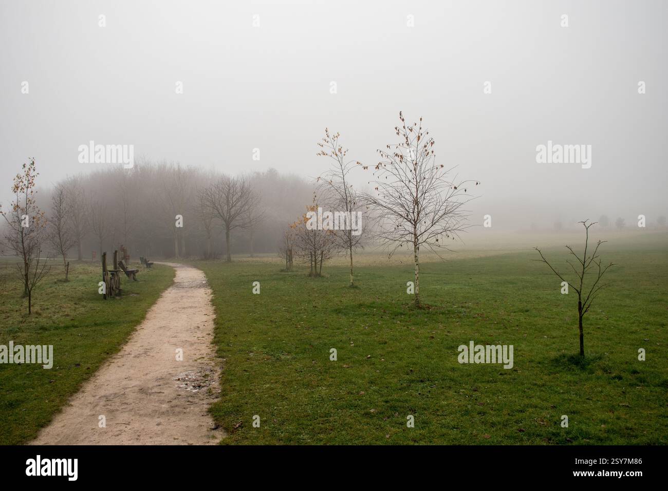 Heavy morning fog hi-res stock photography and images - Alamy