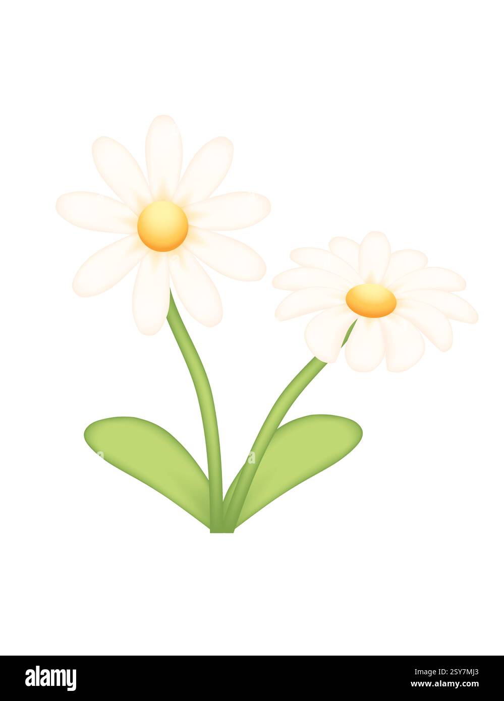 One camomile on green Cut Out Stock Images & Pictures - Alamy