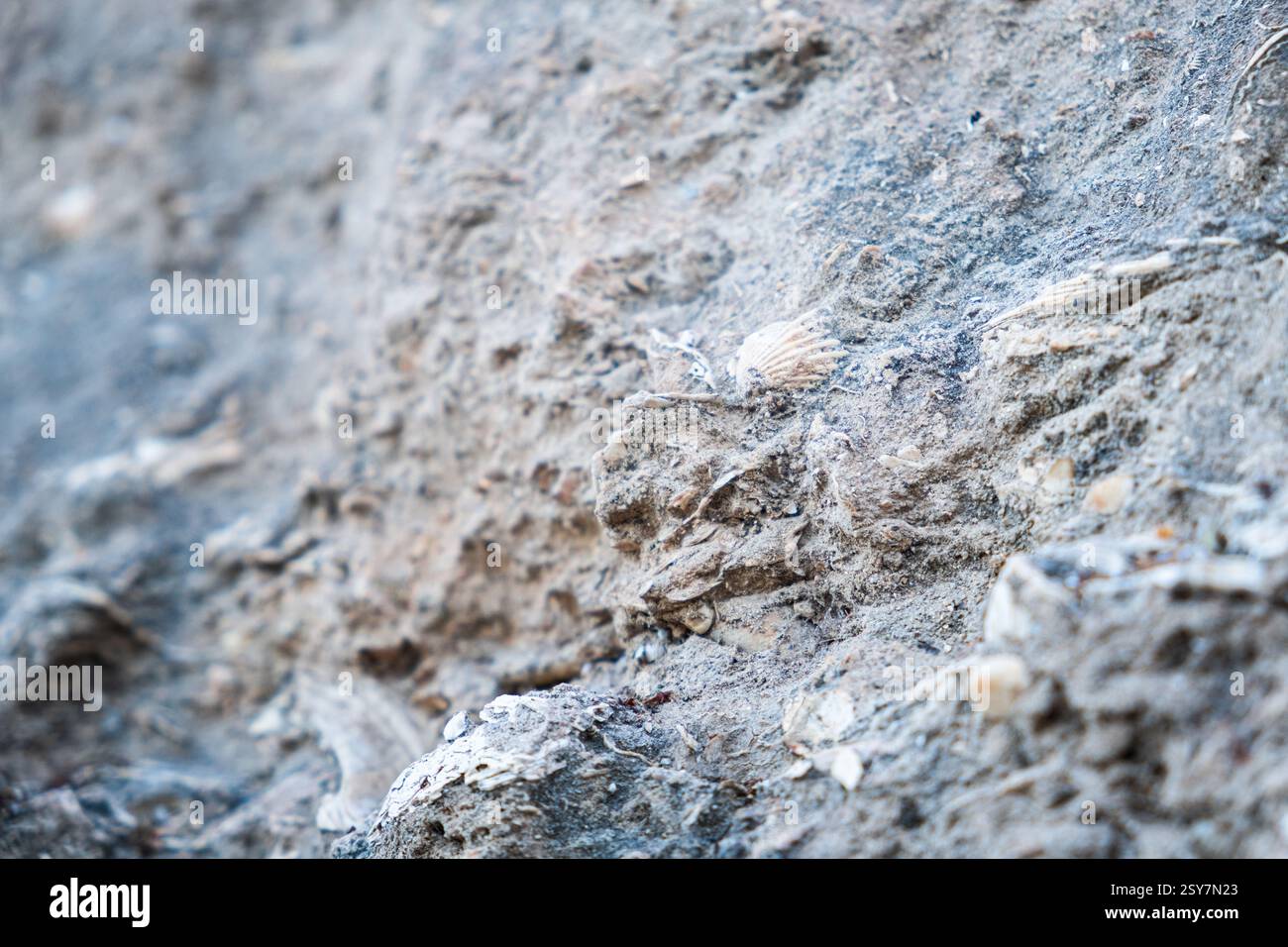 Geological remains of the old sea floor in the limestone rock cliffs of ...
