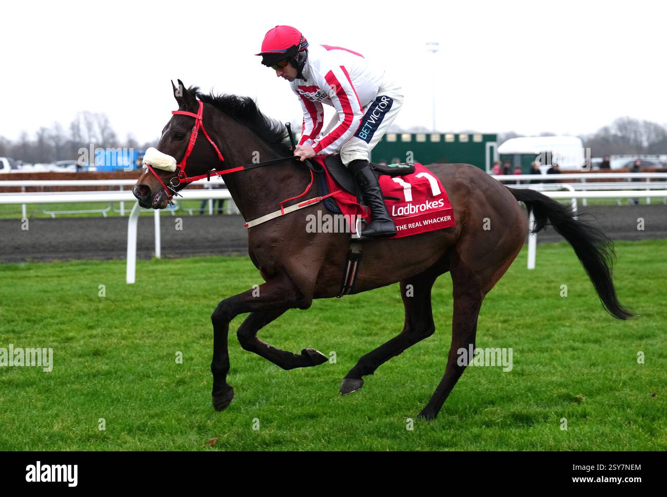 File photo dated 26-12-2024 of The Real Whacker ridden by Gavin Sheehan ...