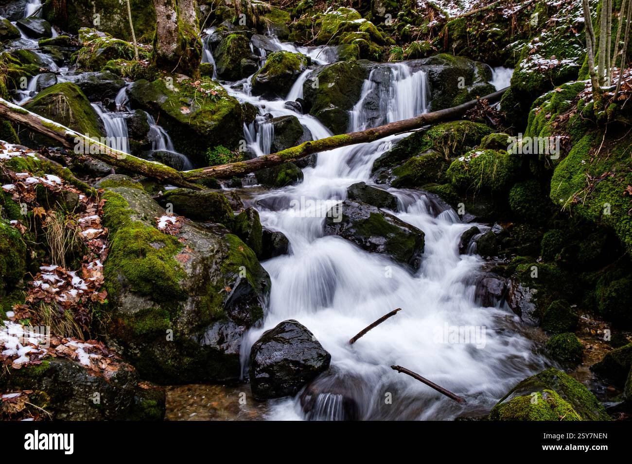 Early Spring Forest Stream with Melting Snow – Fresh Water and Renewal in Nature Stock Photo - Alamy