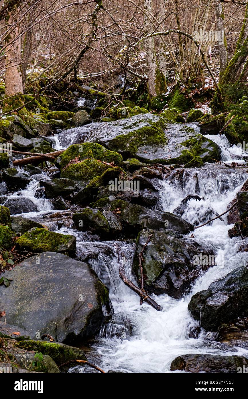 Early Spring Forest Stream with Melting Snow – Fresh Water and Renewal ...