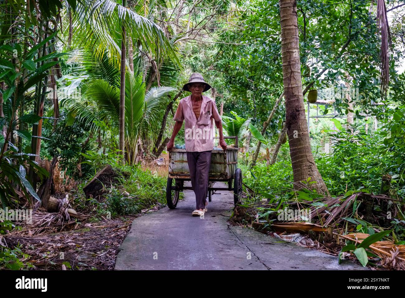 A man pulls a cart along a small path in the green forest near a small ...