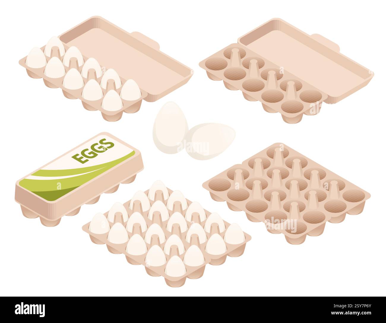 Egg cartons and trays in various configurations. Cardboard egg containers holding white eggs ...
