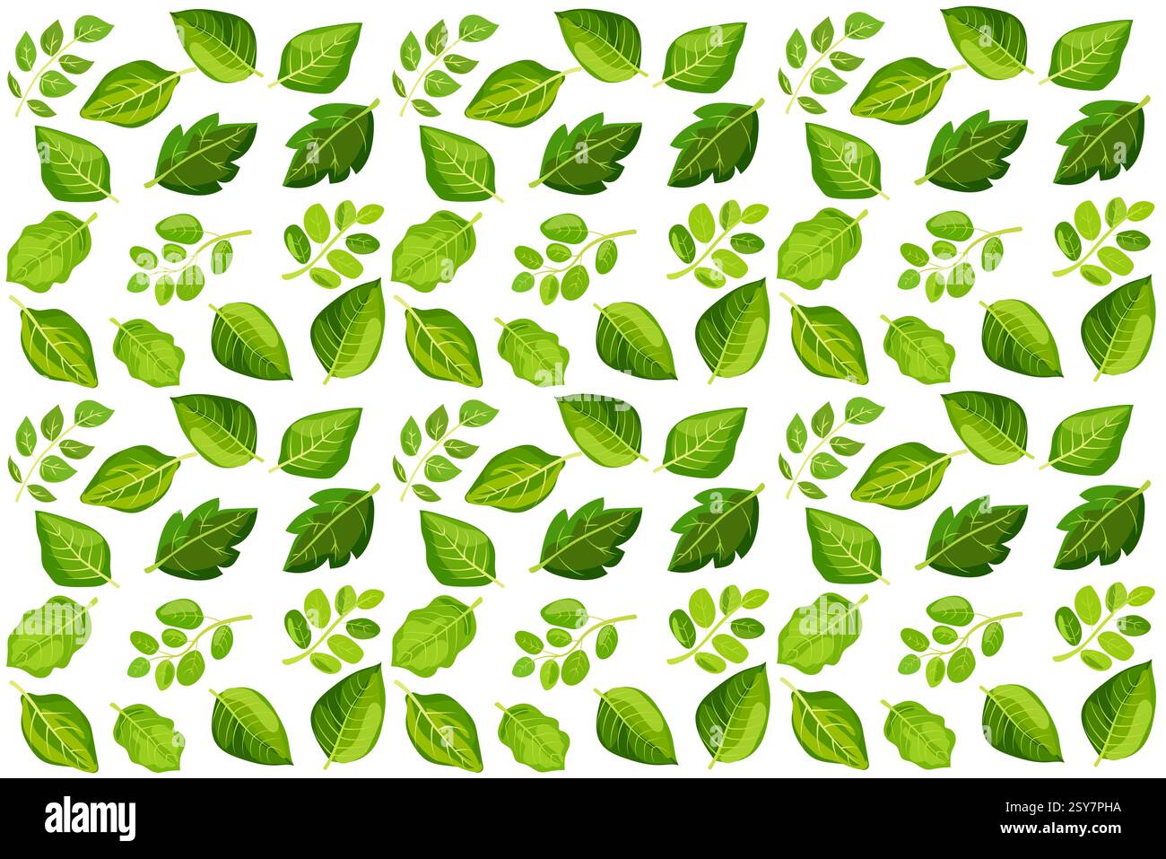 Botanical design elements featuring Cut Out Stock Images & Pictures - Alamy