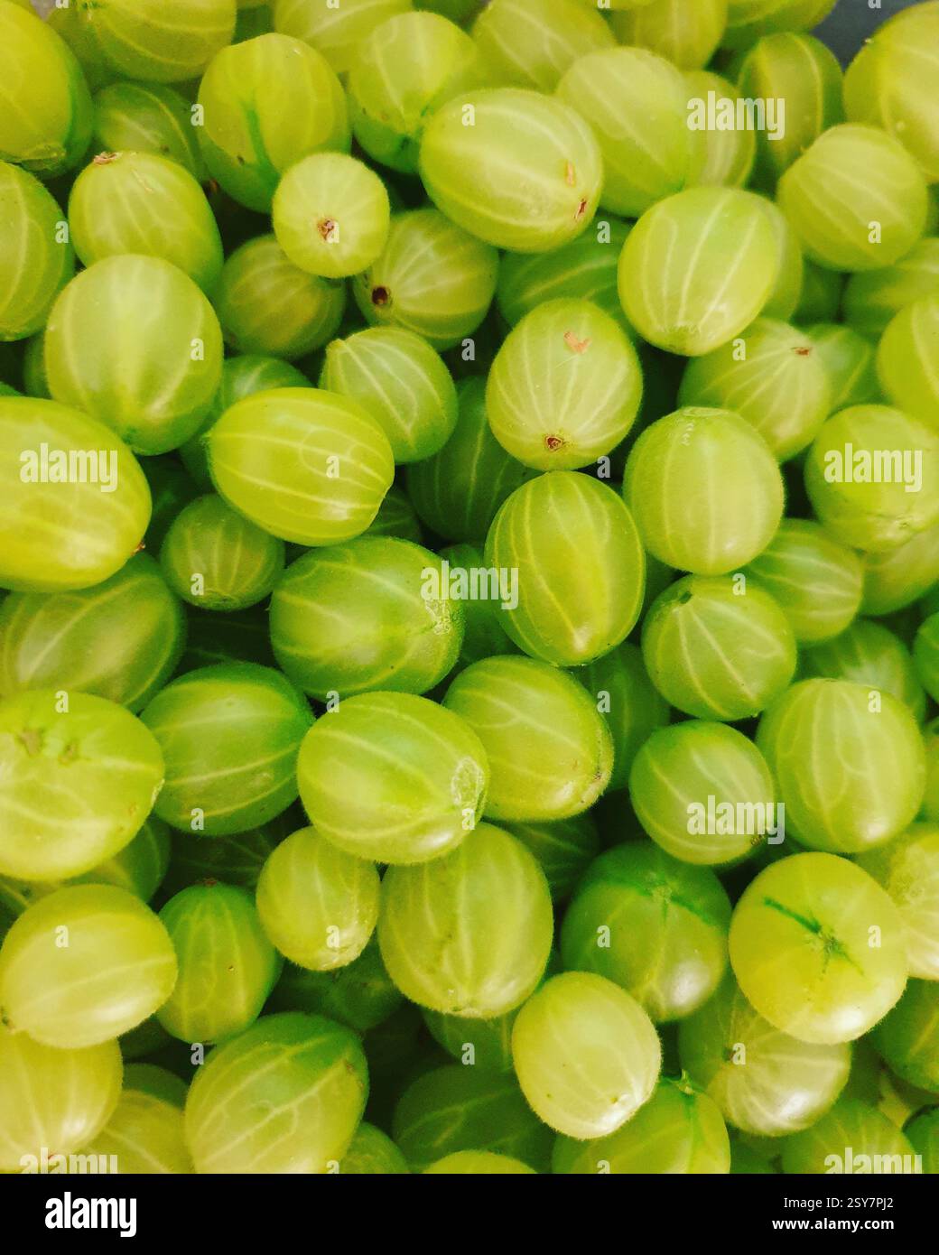 Ripe juicy gooseberry close hi-res stock photography and images - Alamy