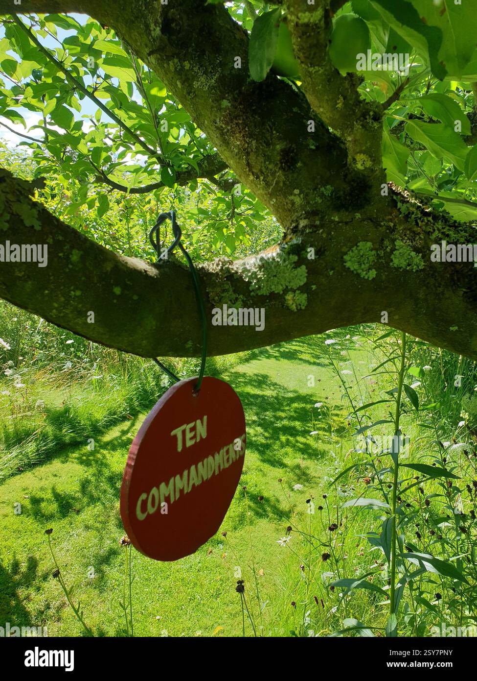 Exploring an apple orchard at Croft Castle in Herefordshire Stock Photo ...