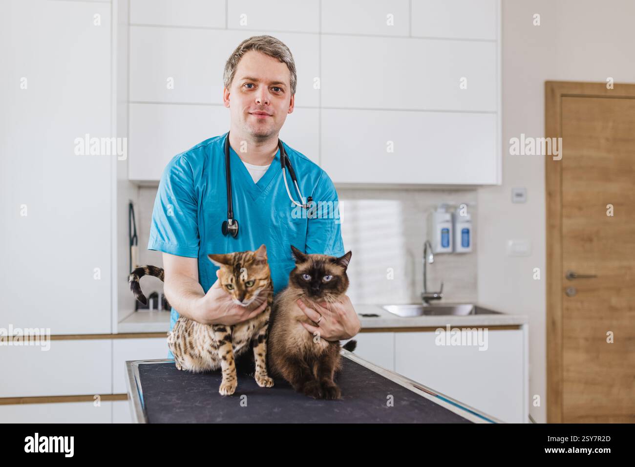 Veterinarian doctor portrait with two beautiful cats before health exam ...