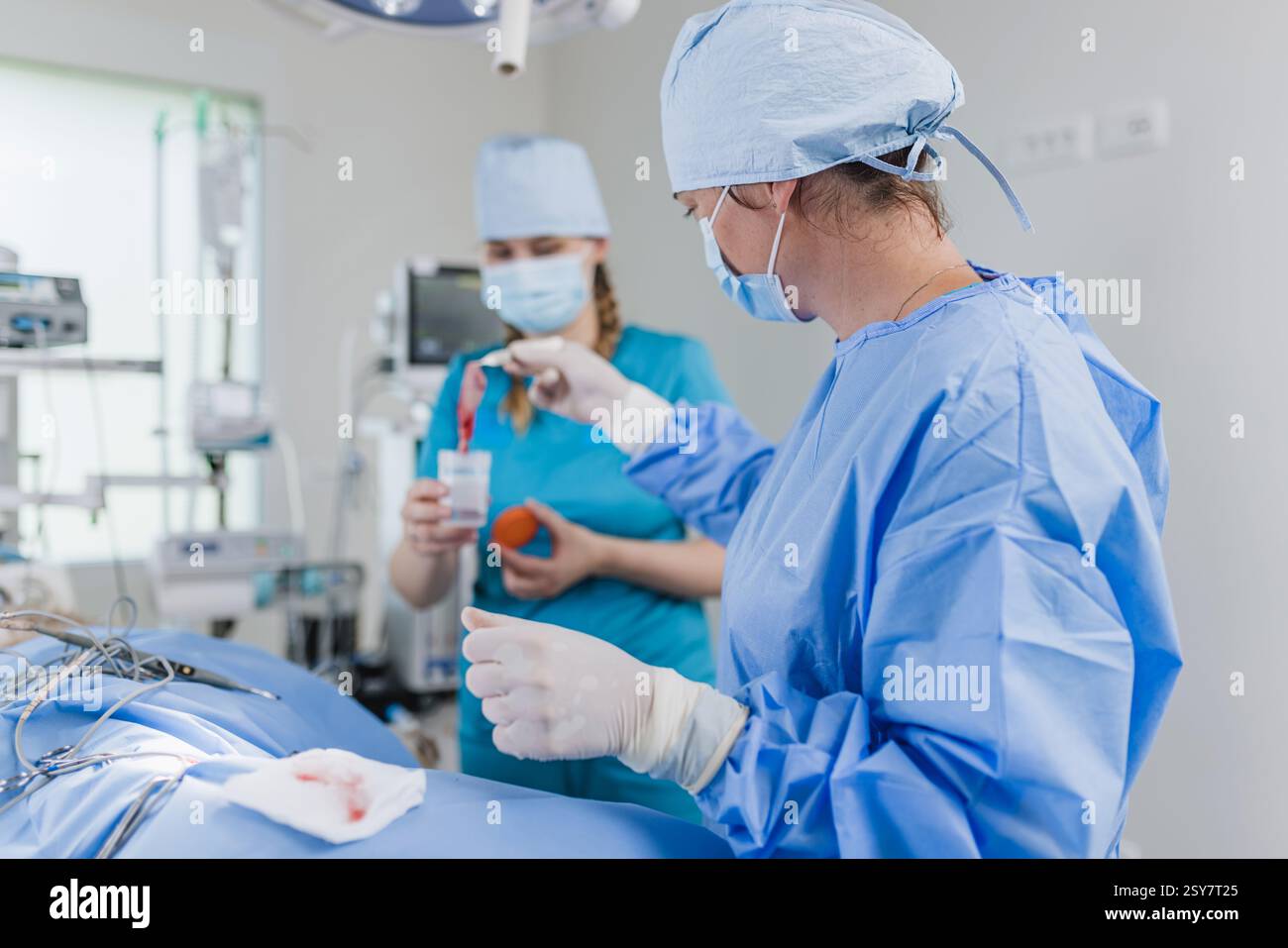 Two veterinary healthcare professionals, a vet doctor, and a technician ...