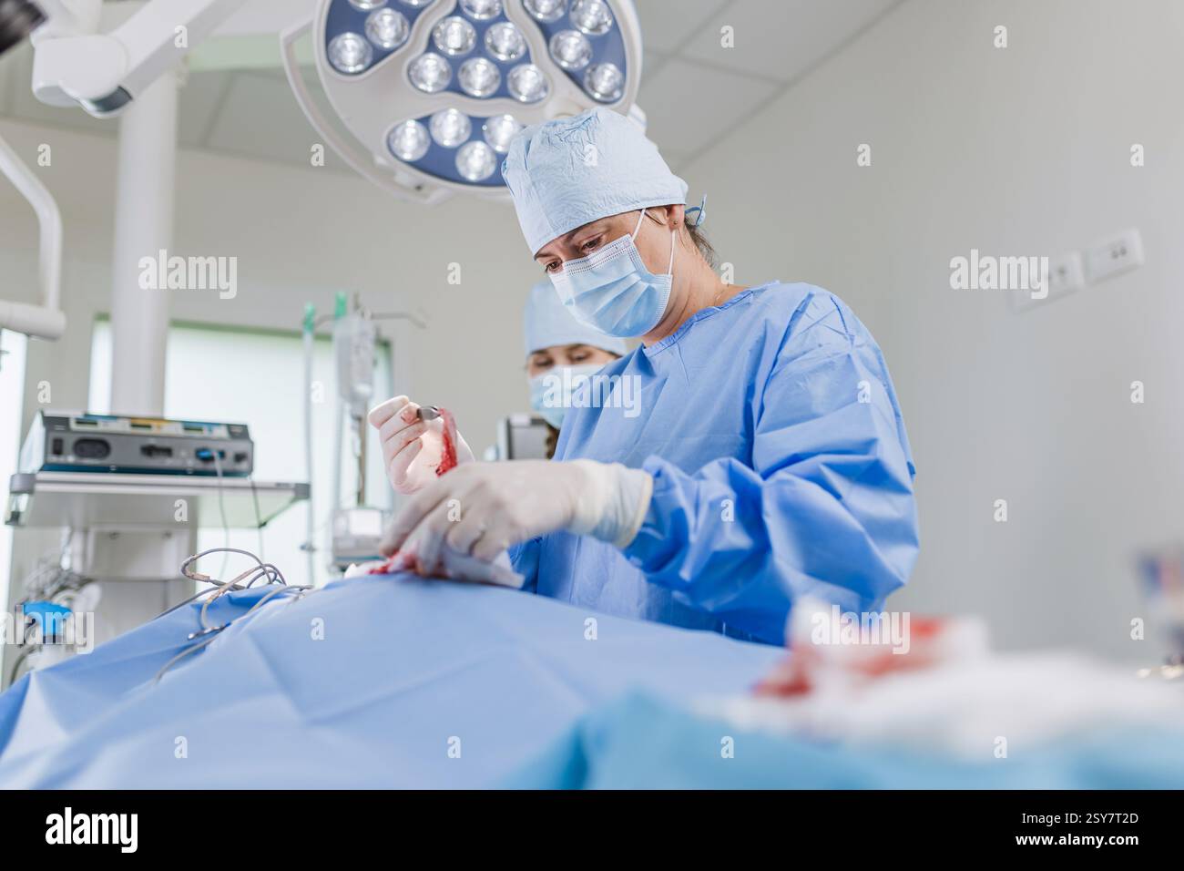 Vet woman suturing surgical hi-res stock photography and images - Alamy