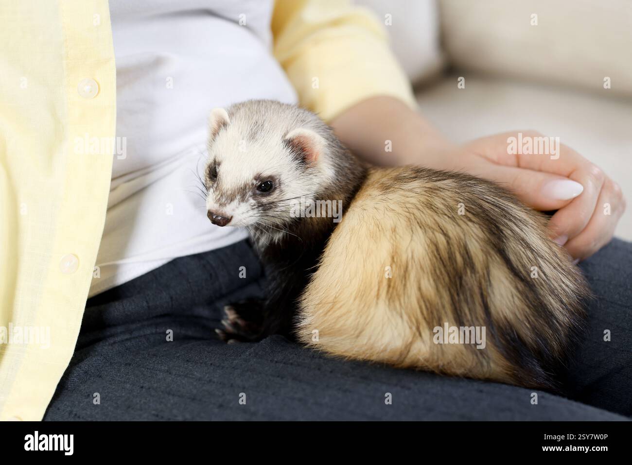 Closeup pretty cute little hi-res stock photography and images - Alamy
